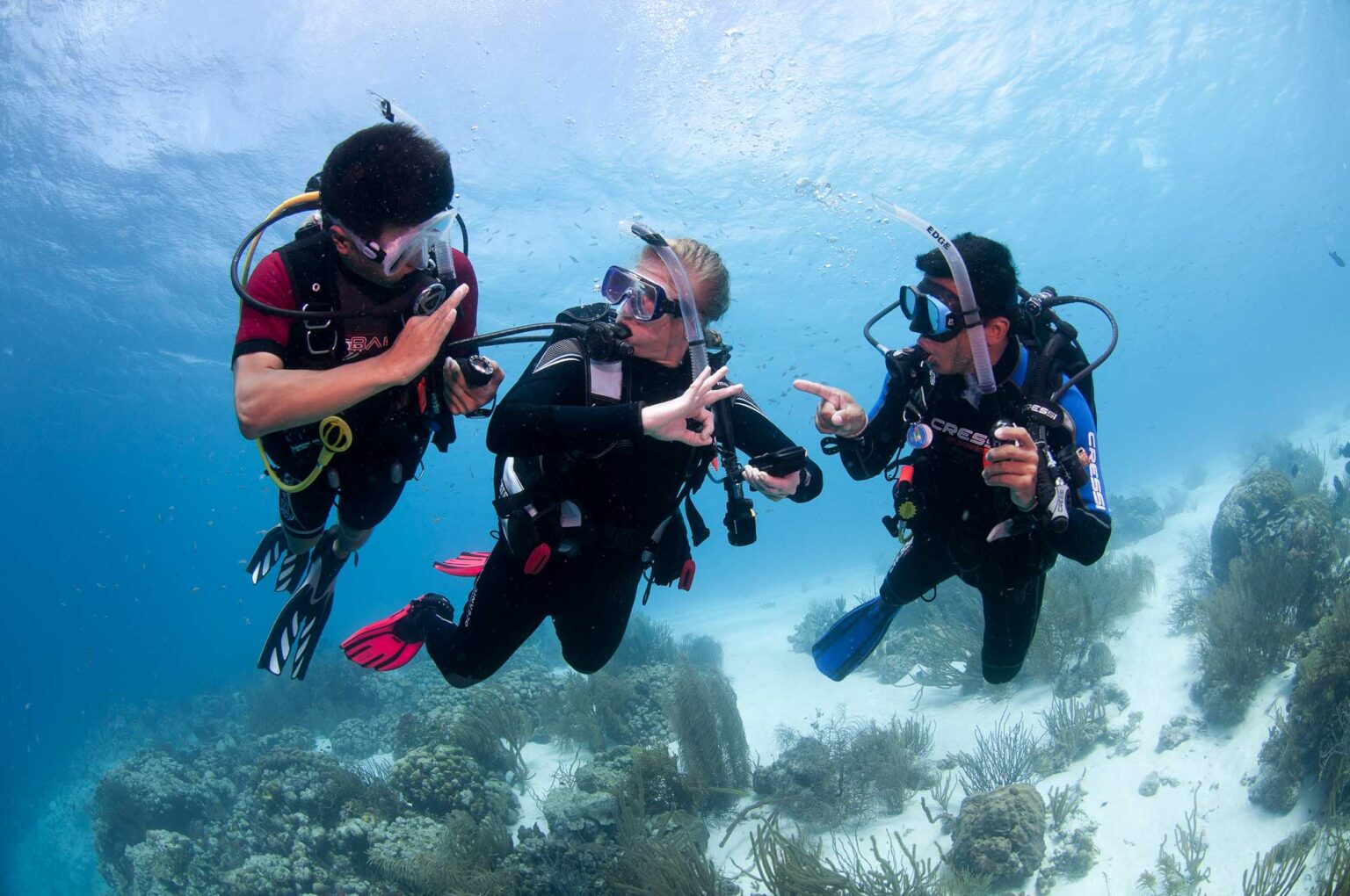 Learn to Dive - Dive Utah